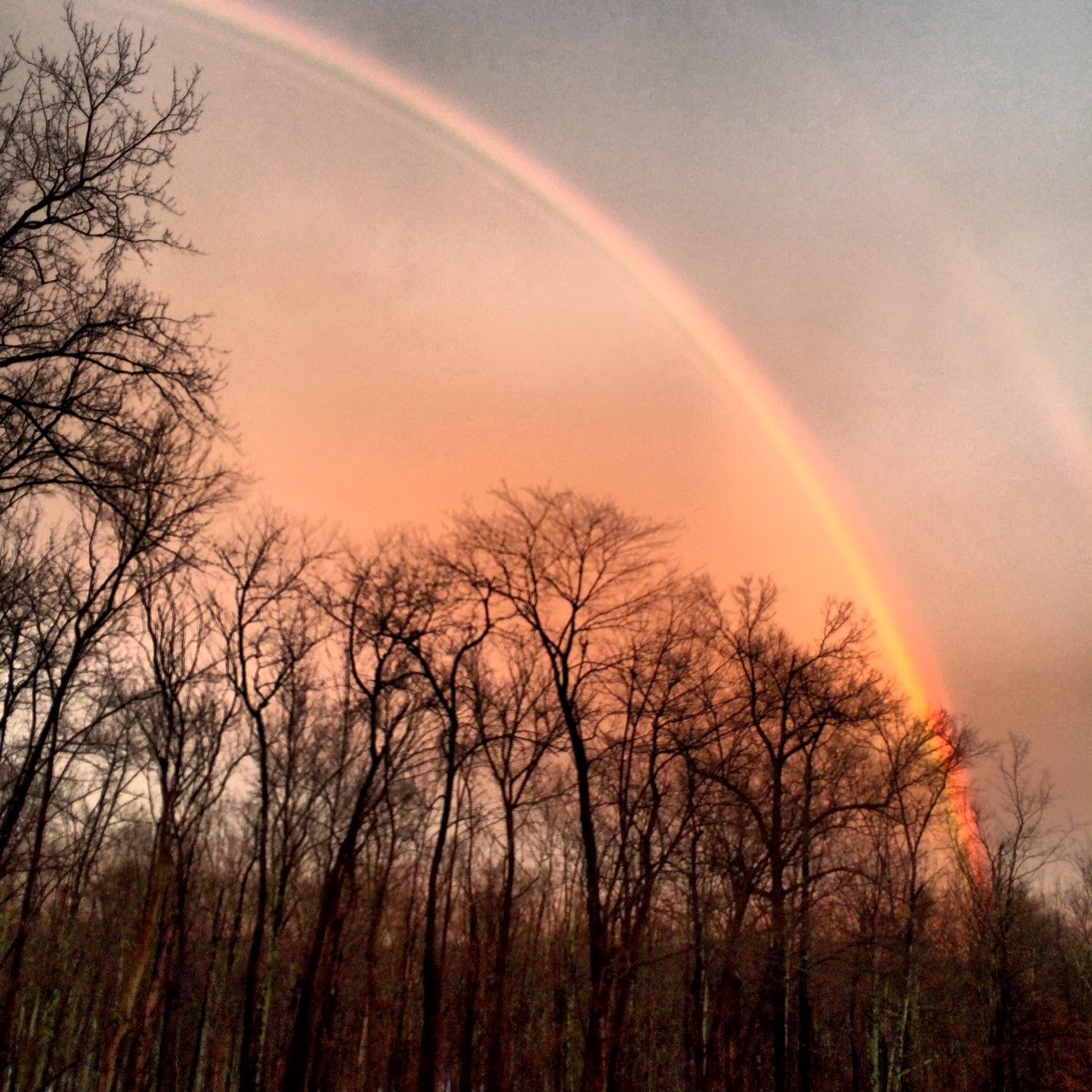 Content in a Cottage: A Rainbow and A Robin