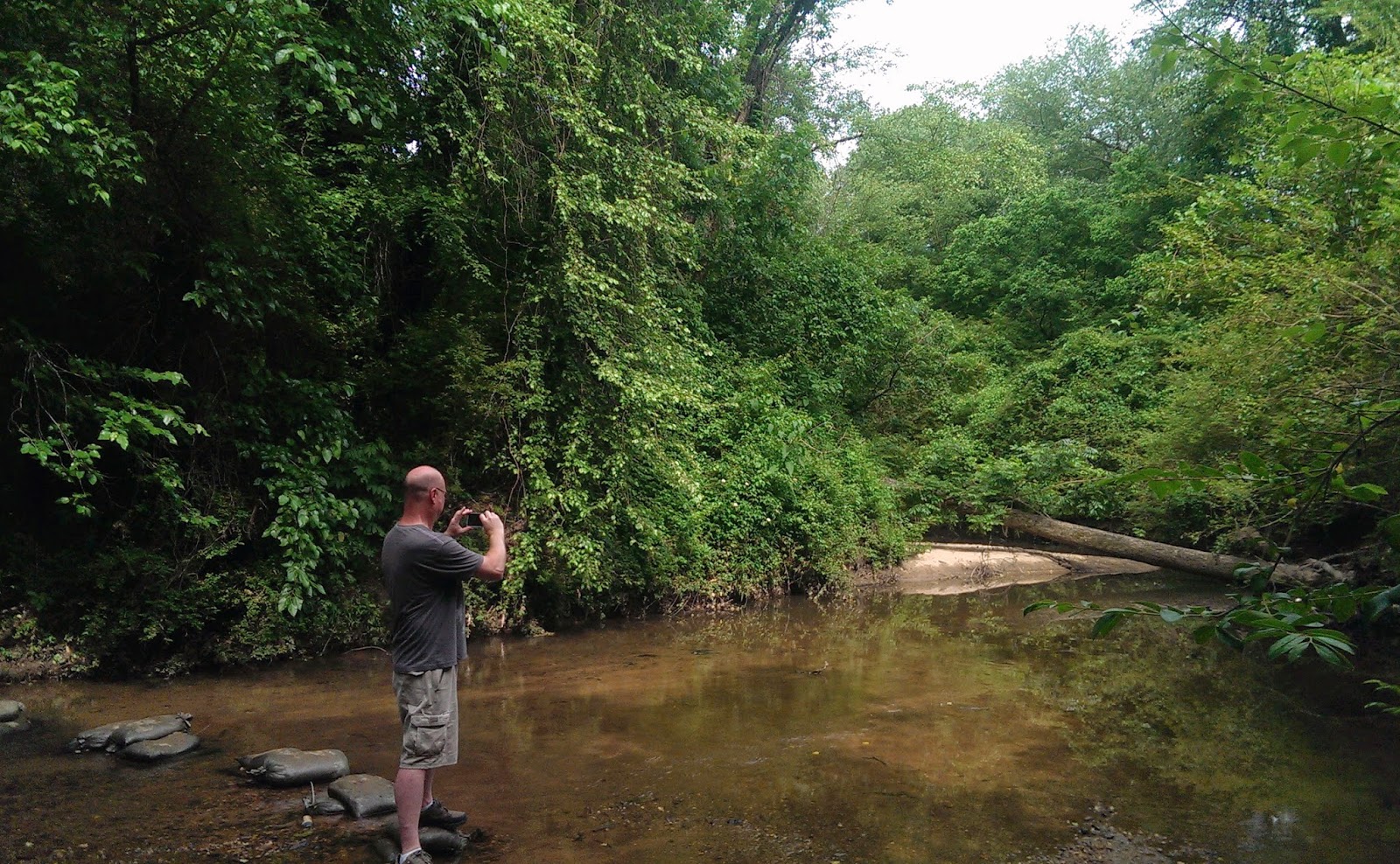 view from the thirteenth floor: south fork peachtree creek