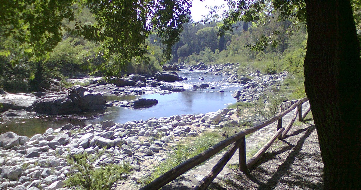 LOS RELATOS DE ROSA MARÍA FAVALE: CAMINO DE RIO
