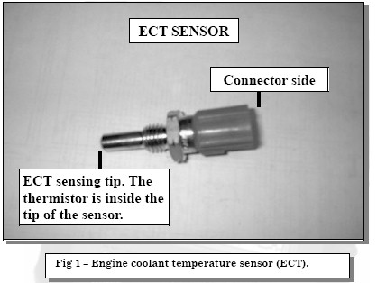 rata gemmell ttec 4848: BLOG 1 TTEC 4848