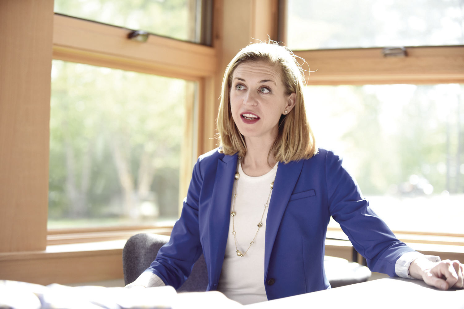 Jonathan Melle on Politics: Maura Sullivan NH Democrat for US Congress 2018