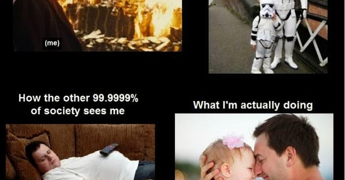 Random Carolina Parrothead Brain Droppings: News from the Home Front