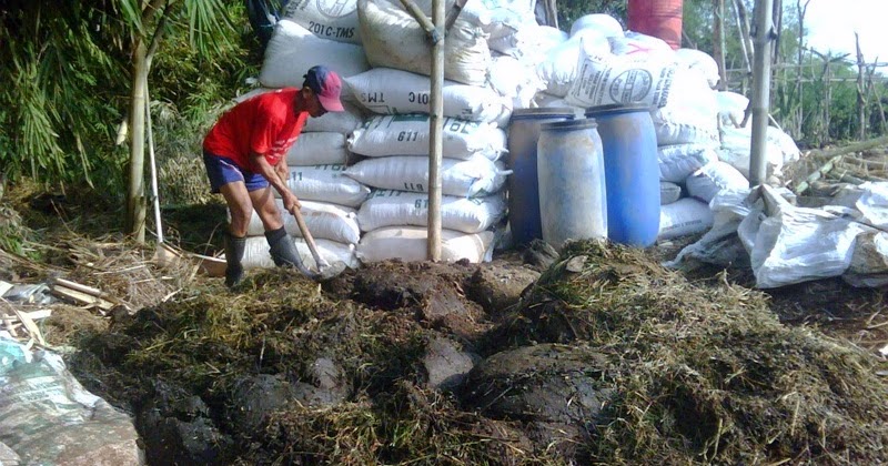 KEUNGGULAN dan KEISTIMEWAAN PUPUK ORGANIK - Profesor Pupuk