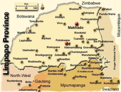 AJ's Food and Wine: Dinner in Makhado with a 2003 Pinotage