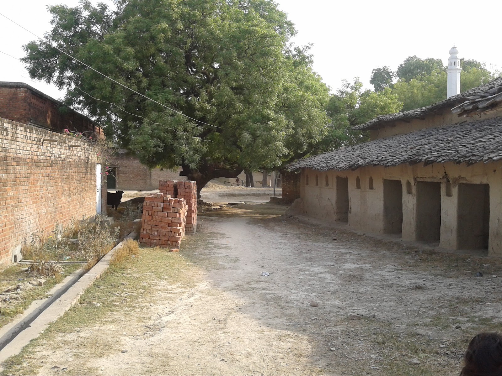 Wirasat - Pargana Chail- Allahabad: BadaGaon - Pargana Chail ( Baragaon)