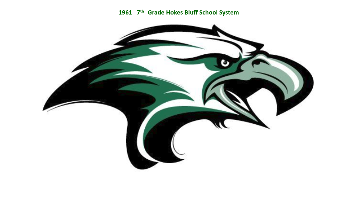 Hokes Bluff School System