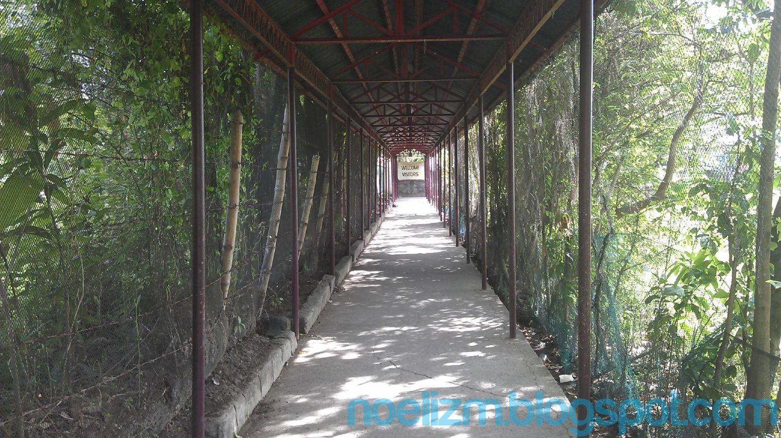 Mt. Tagapo: From Santa Rosa to Talim Island | Noelizm