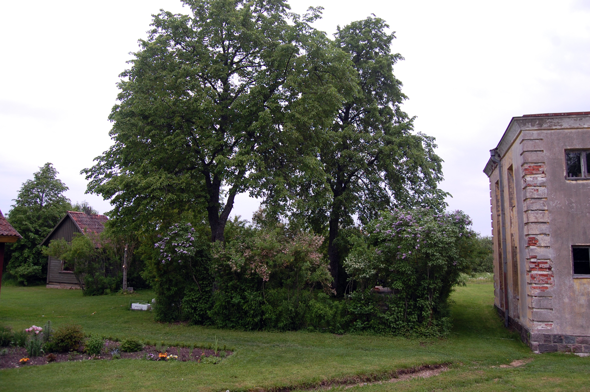 Rootsi pooljaam: Iluaiad Rootsi raudteejaamas