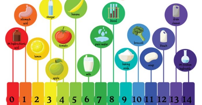 Química de alimentos: PH de los alimentos
