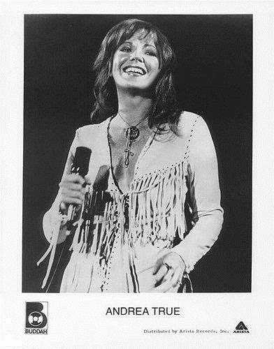 Disco Vinyl : ANDREA TRUE CONNECTION, what you may know, and what you ...