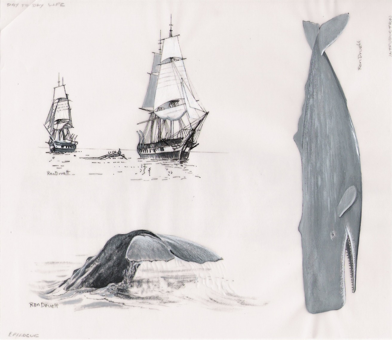 World of the Written Word: Moby-Dick in rare books