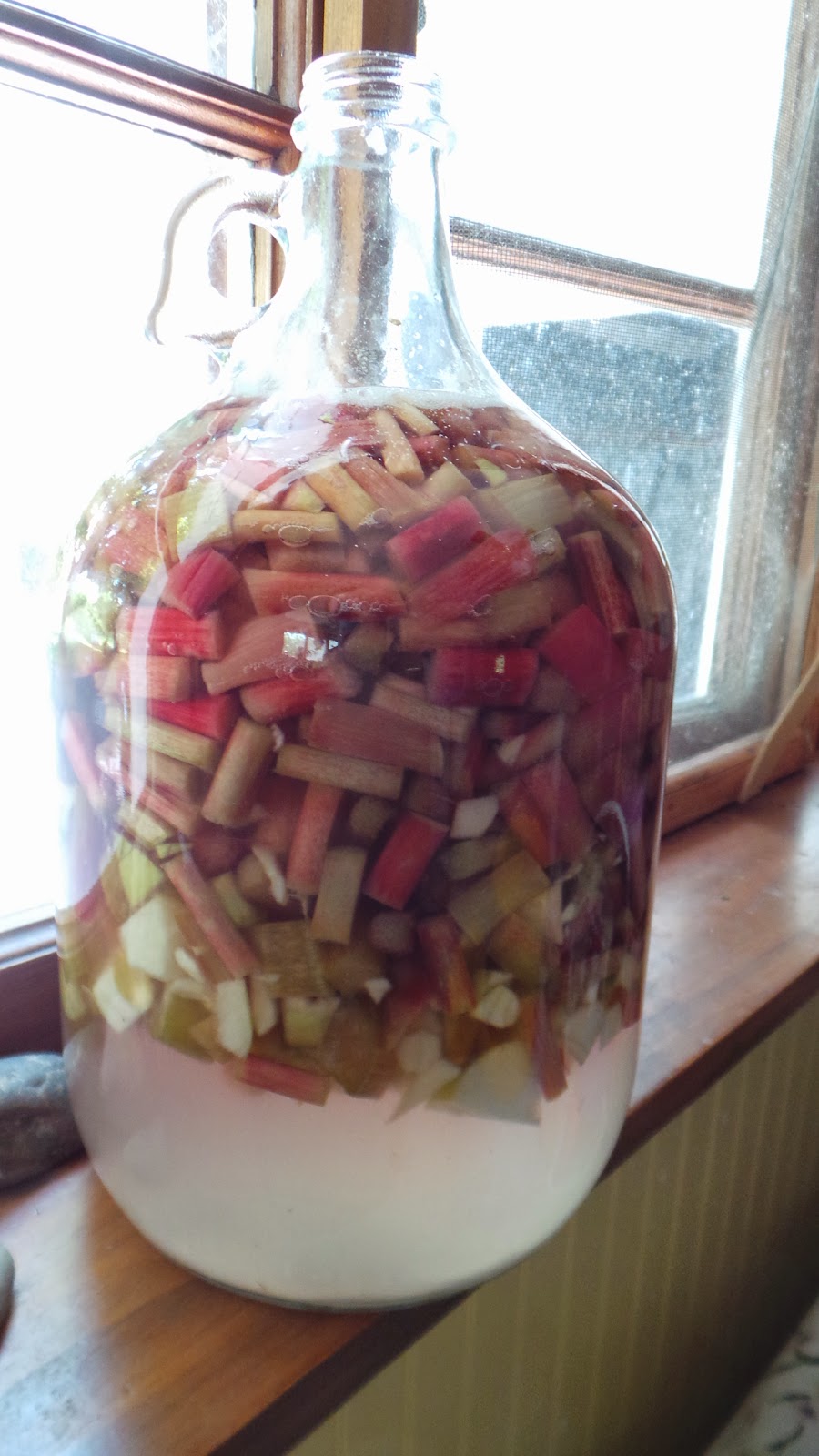 The Suburban Farmhouse: DIY "Dry" Rhubarb wine from Great Grandpa's ...