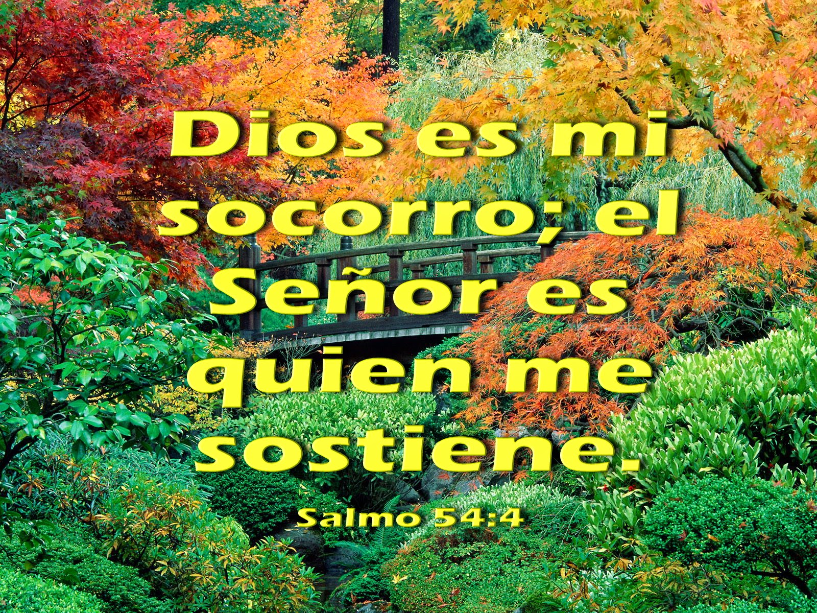 Biblia, paisajes y maravillas: Salmo 54:4