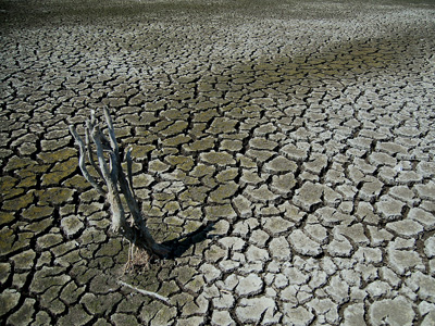 Echilibre şi dezechilibre naturale: Consecintele desertificarii