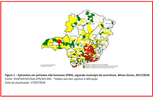 Informes Epidemiológicos da Febre Amarela + atualização das epizootias ...