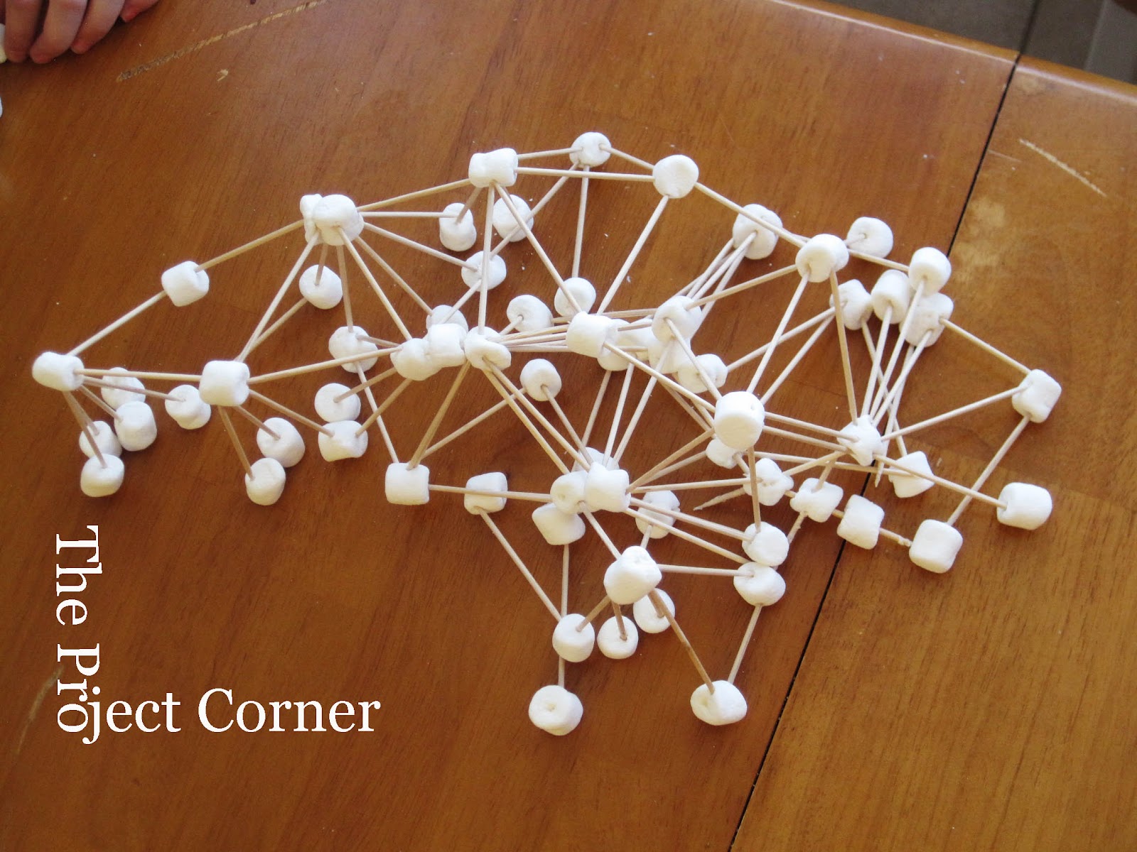 The Project Corner: Pinteresting Summer-Marshmallow & Toothpicks