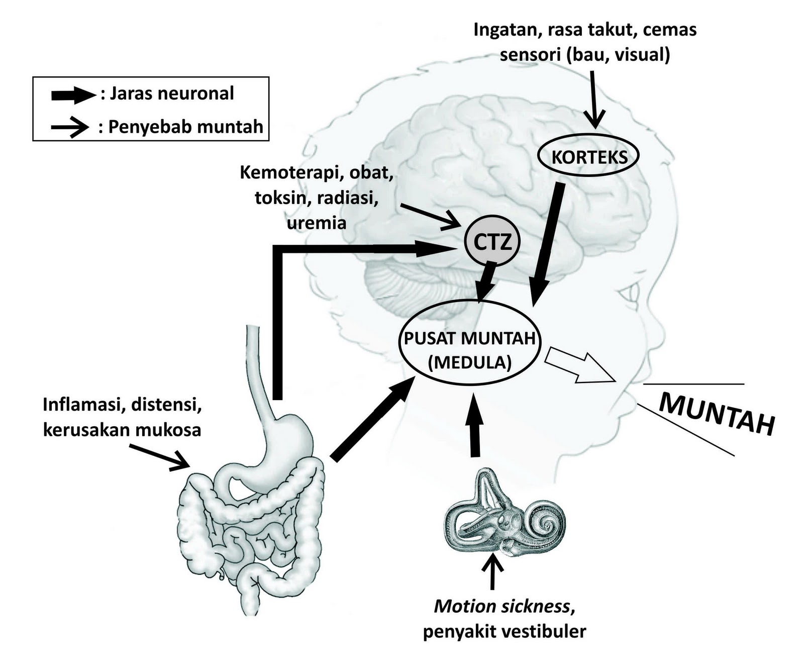 Pediatrician On Duty: Januari 2012