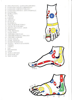 masaj terapeutic cluj: Reflexologia