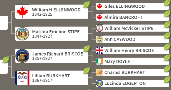 All In The Family History: Ellenwood/Stipe/Briscoe/Burkhart