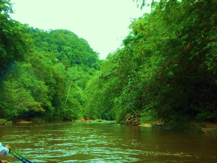 Cats City Hornbill Land: PADAWAN FEST RIVER SAFARI