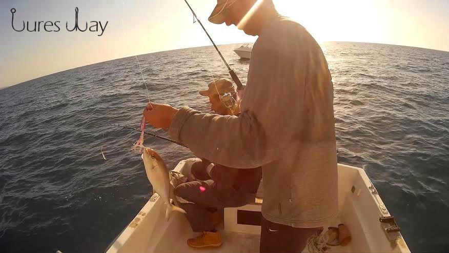 Lures Way: studenoga 2014