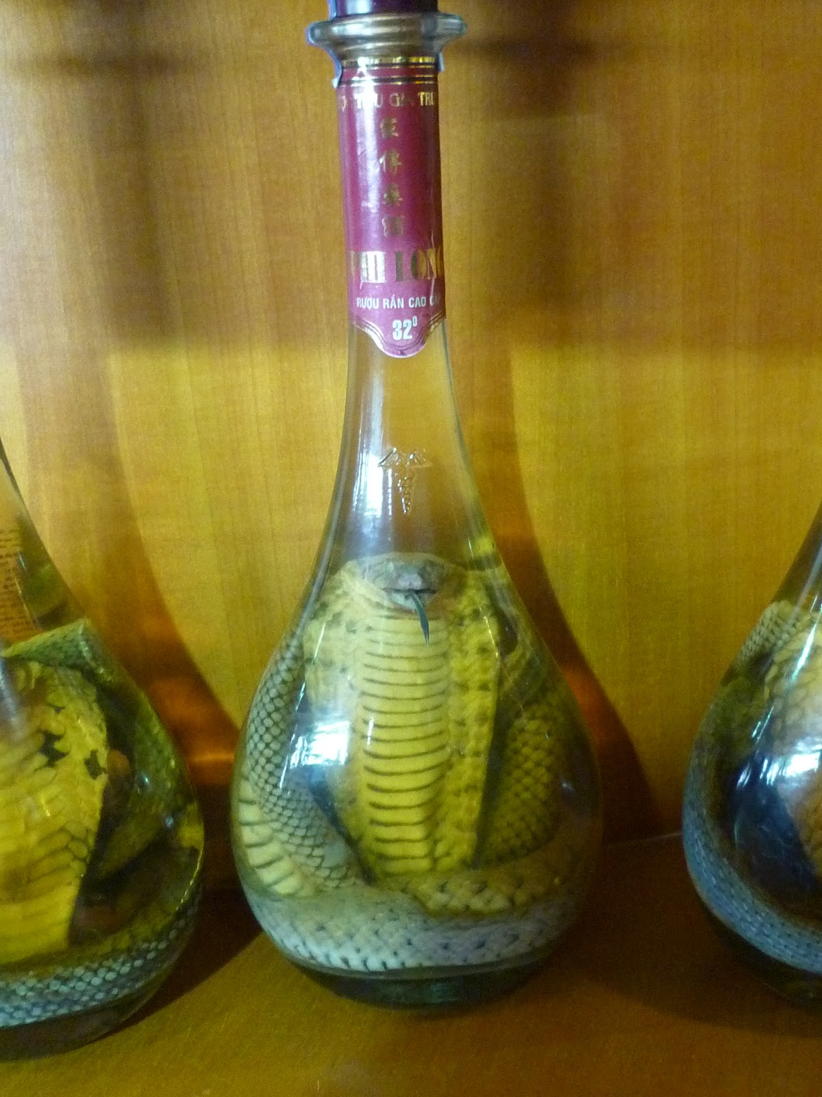 Snake Wine King Cobra