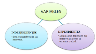 METODOLOGÍA: LAS VARIABLES