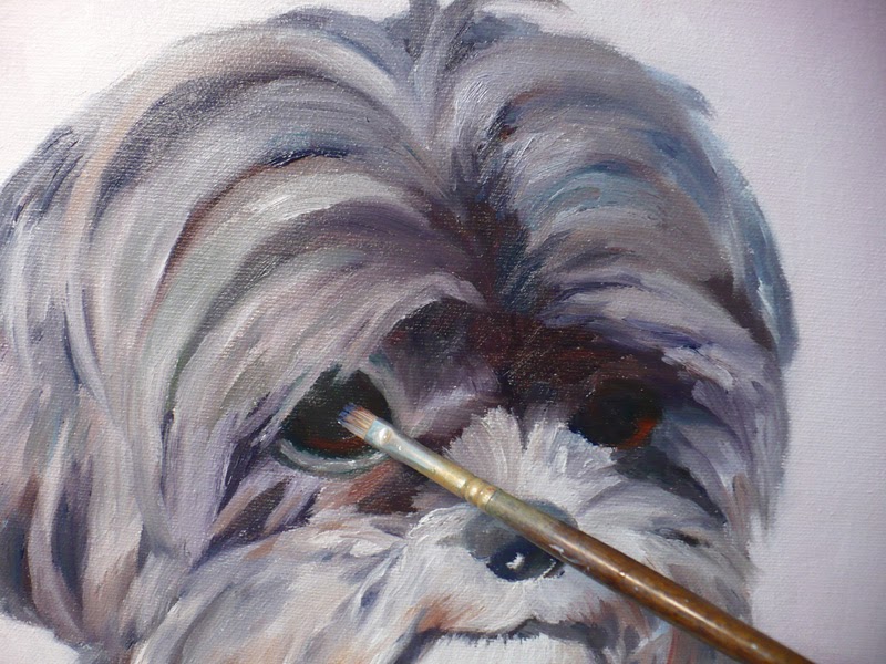 Zeh Original Art Blog Watercolor and Oil Paintings: Shih Tzu Pet ...