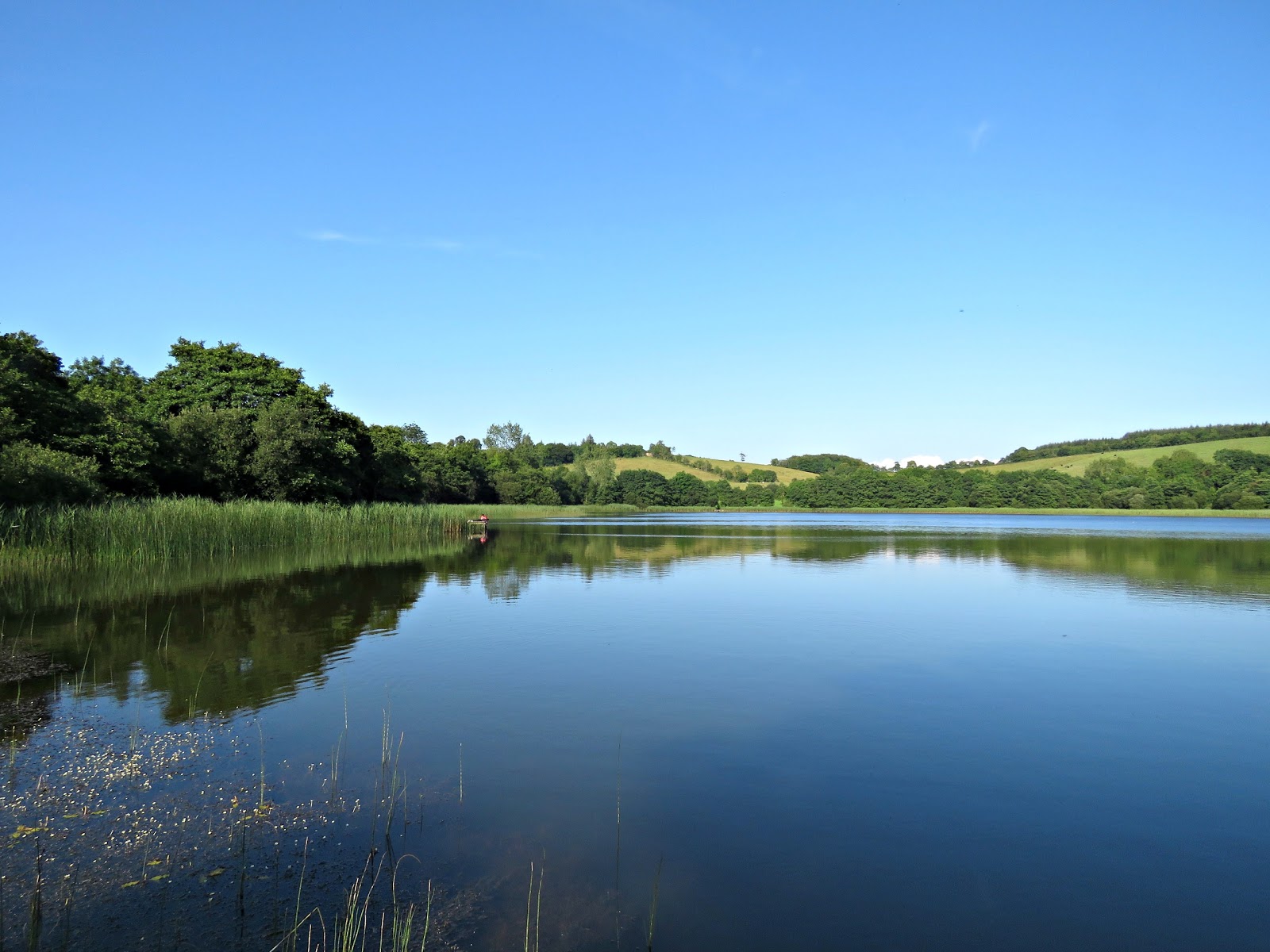 just saying ...: The White Lough on a sparkling summer evening ...