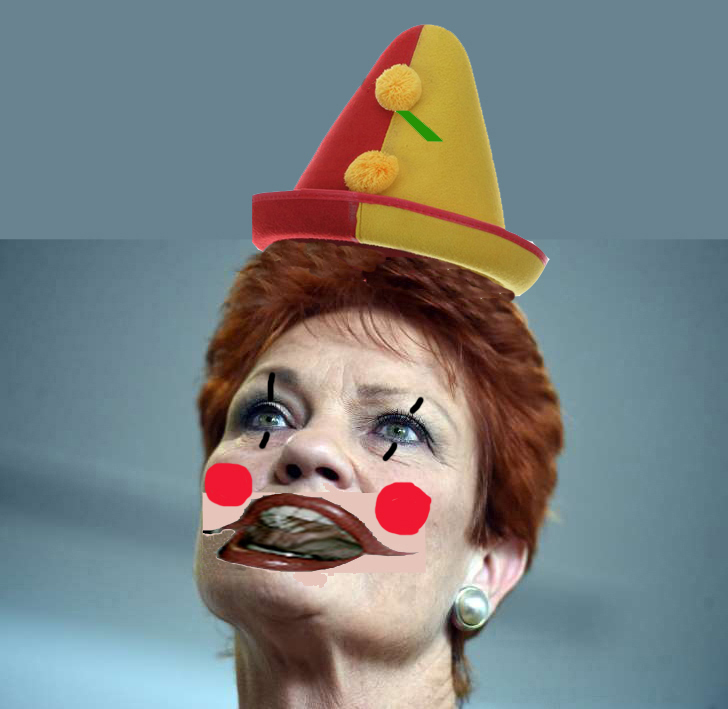 FletcherBeaver: Scary Clown Sightings in Australia Since September