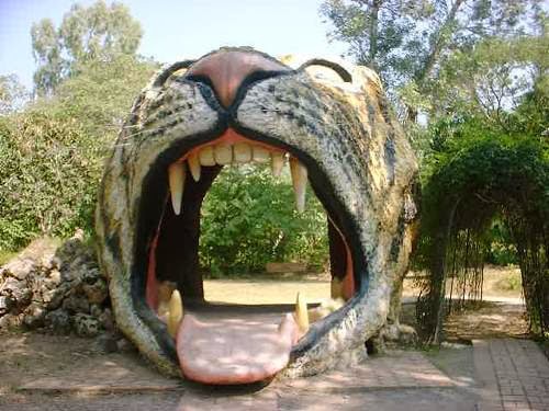 Ayub National Park Place of Water Lillies - Rawalpindi