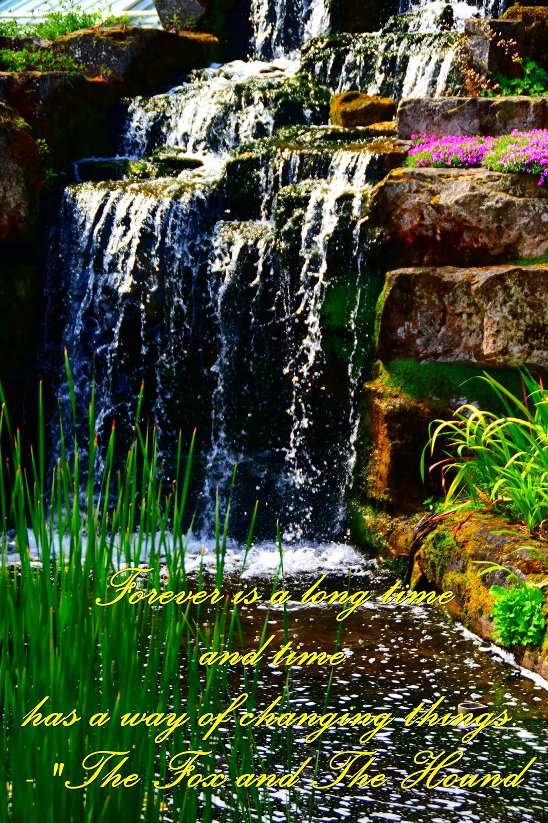 Enjoy your time with beautiful places: QUOTES