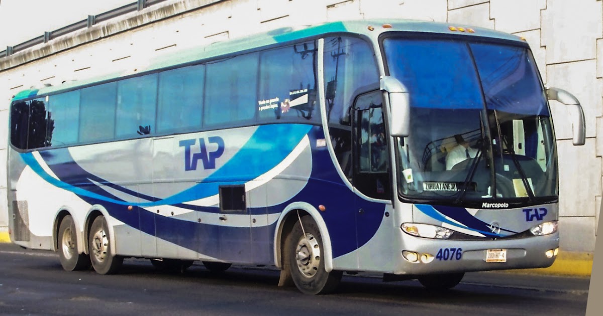 MAXIBUSES: TRANSPORTES Y AUTOBUSES DEL PACÍFICO (TAP)