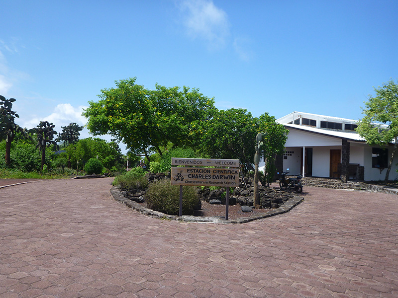 The Adventures of S/V Silhouette: Visit to Charles Darwin Research Station
