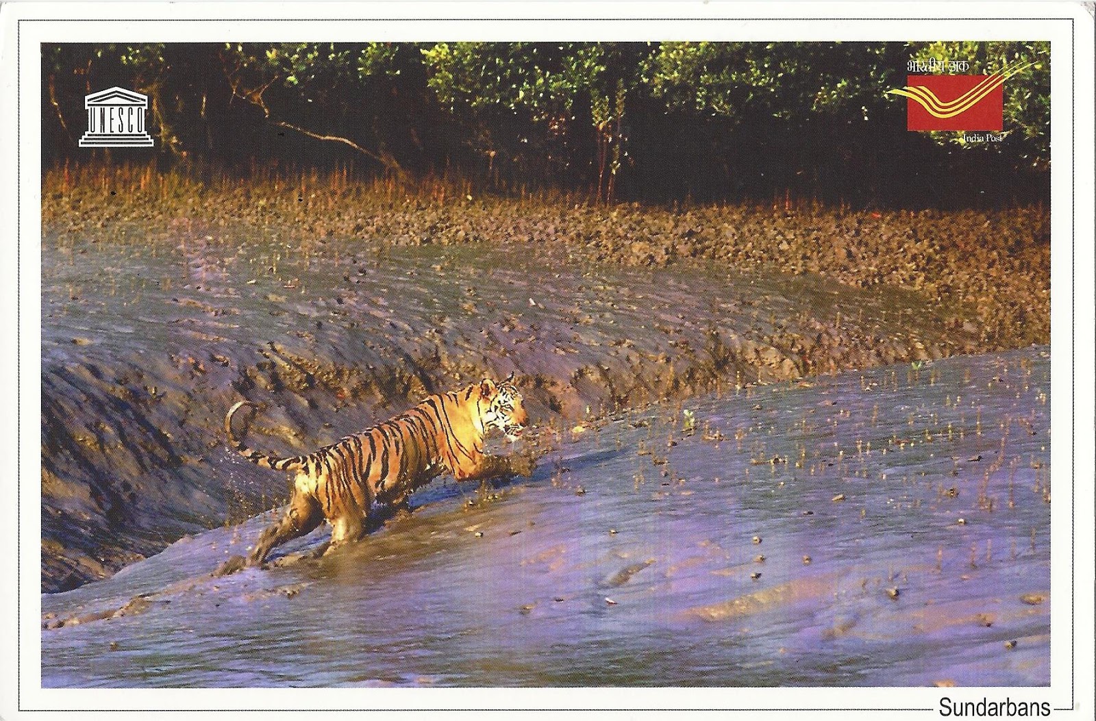 Sundarbans