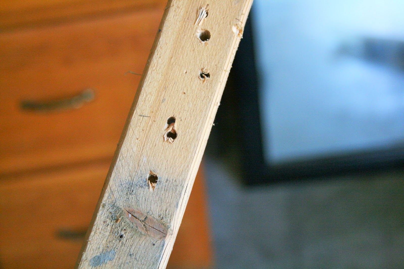 Marsha's Creekside Creations: DIY Picture Frame