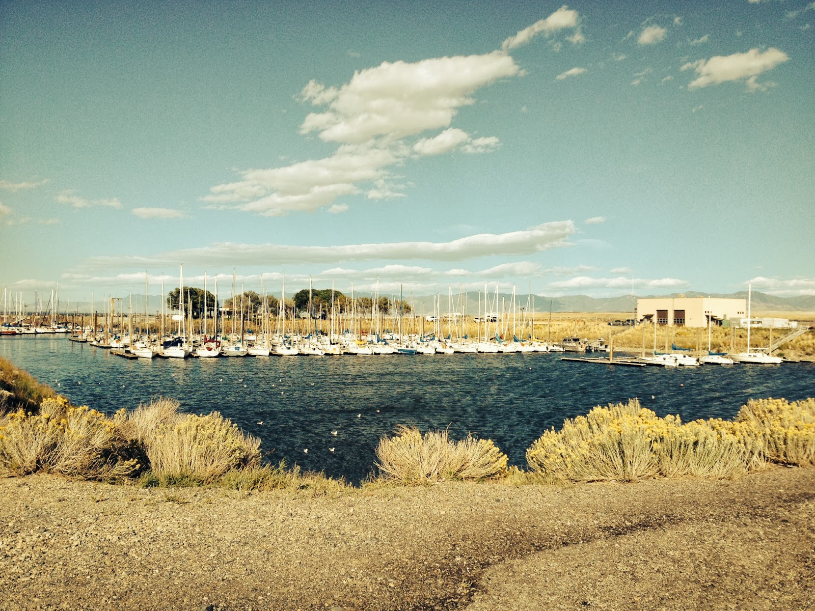 Adventure 11: Swimming in the Great Salt Lake