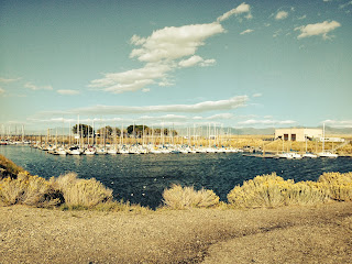 Adventure 11: Swimming in the Great Salt Lake