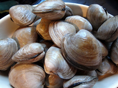 Fishtails and Pearls: Stuffernucks: Stuffed Quahogs Made with ...