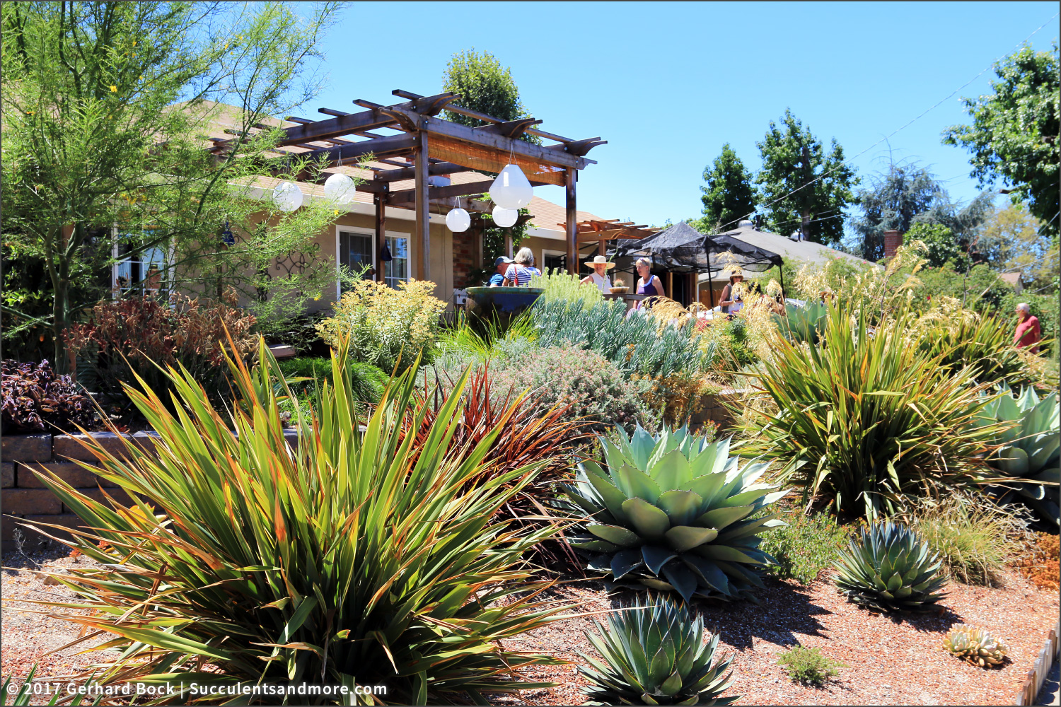 Ruth Bancroft Garden July 2017 private garden tour, part 1