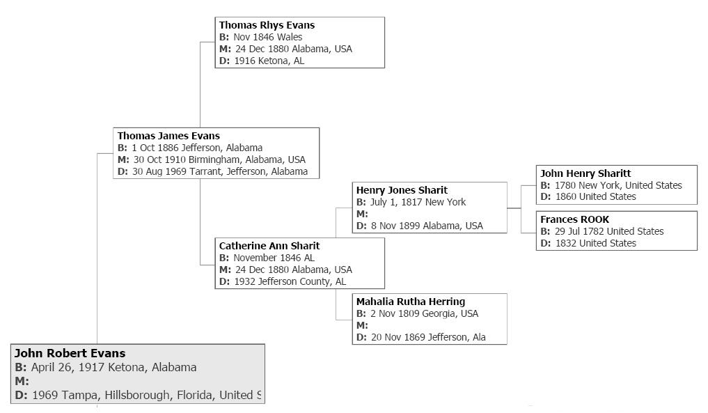 The Many Genes of Bob