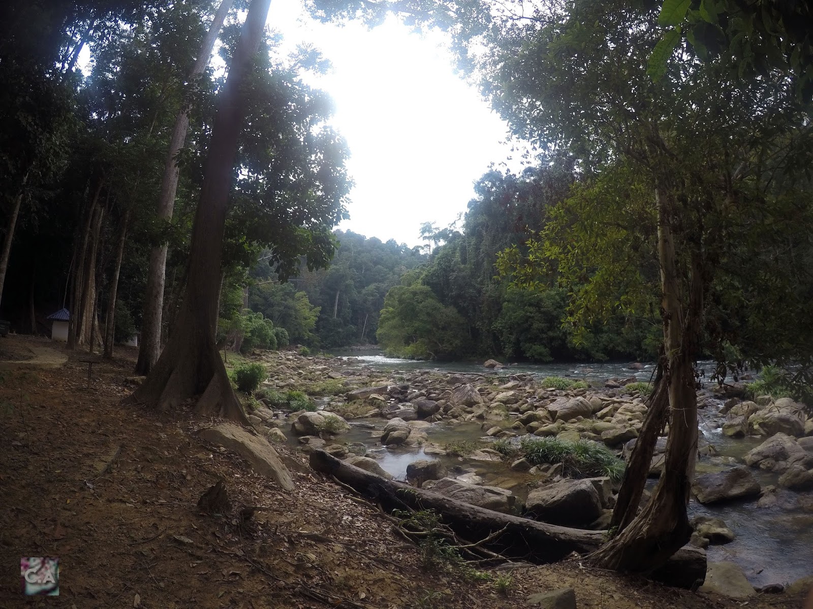 Weekend Getaway: 3rd Hammockers Gathering at Lubuk Yu Eco Park ...