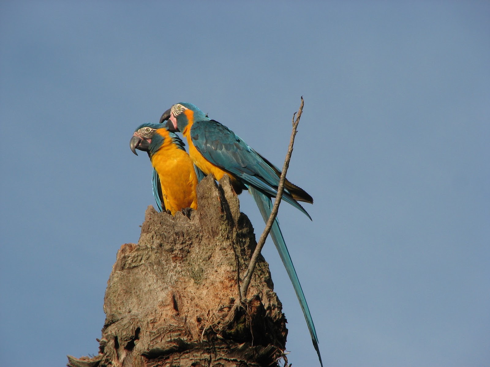 Nick's Adventures Bolivia Tours