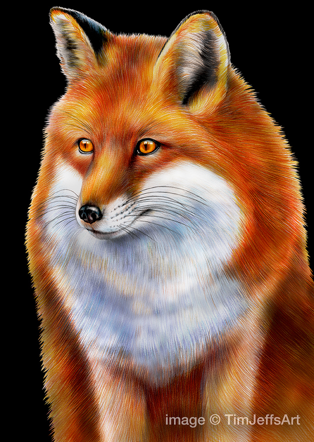 Tim Jeffs Art: Color Drawings