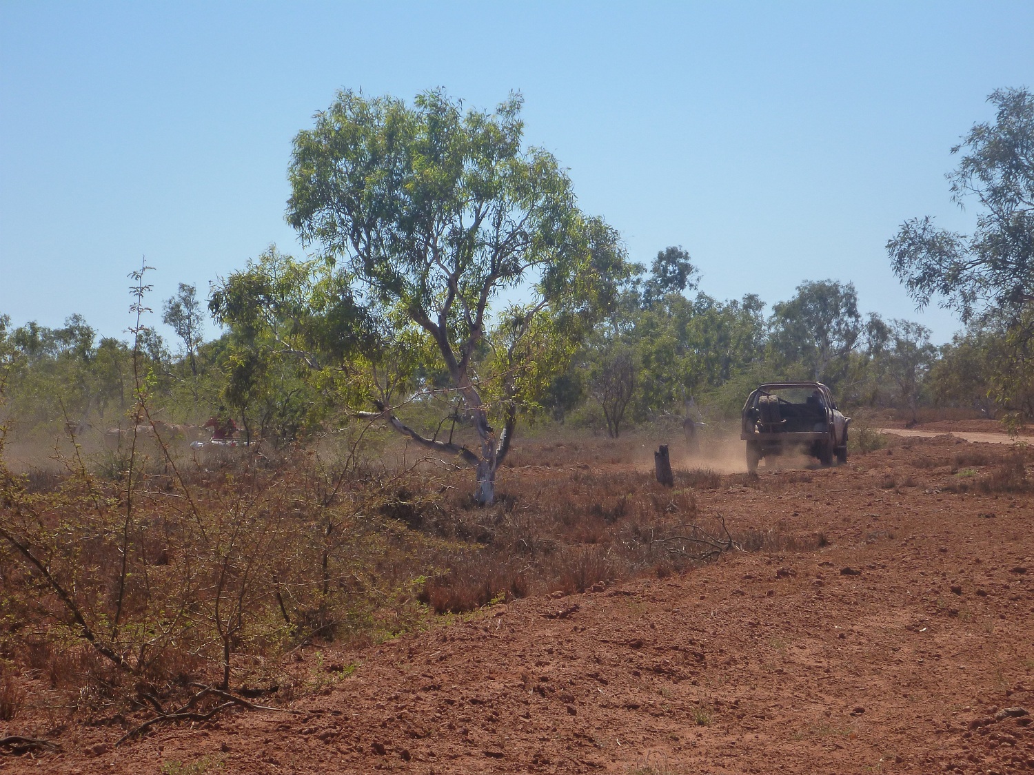 Steve and Dee's Australian tour: Muster -Minderoo Station. Onslow.