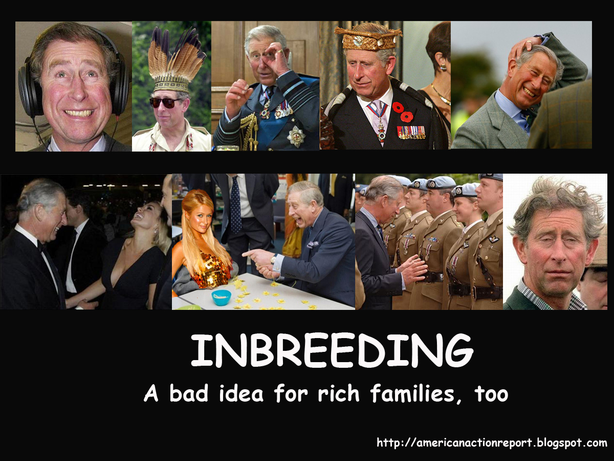 American Action Report: March 2012