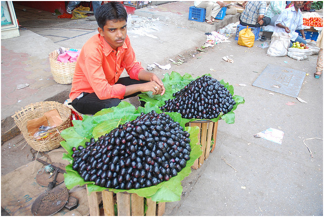 We love Our Bangladesh: Jambul(Jaam/Jam/Kalojaam) is one of the ...