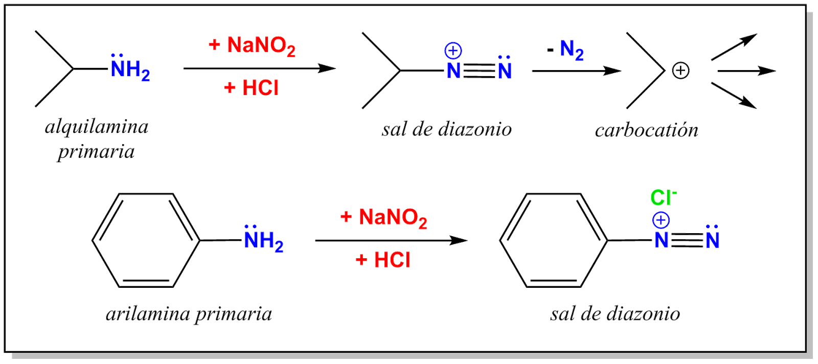 UBUScientia: Las nitrosaminas en las carnes procesadas: un dilema de ...