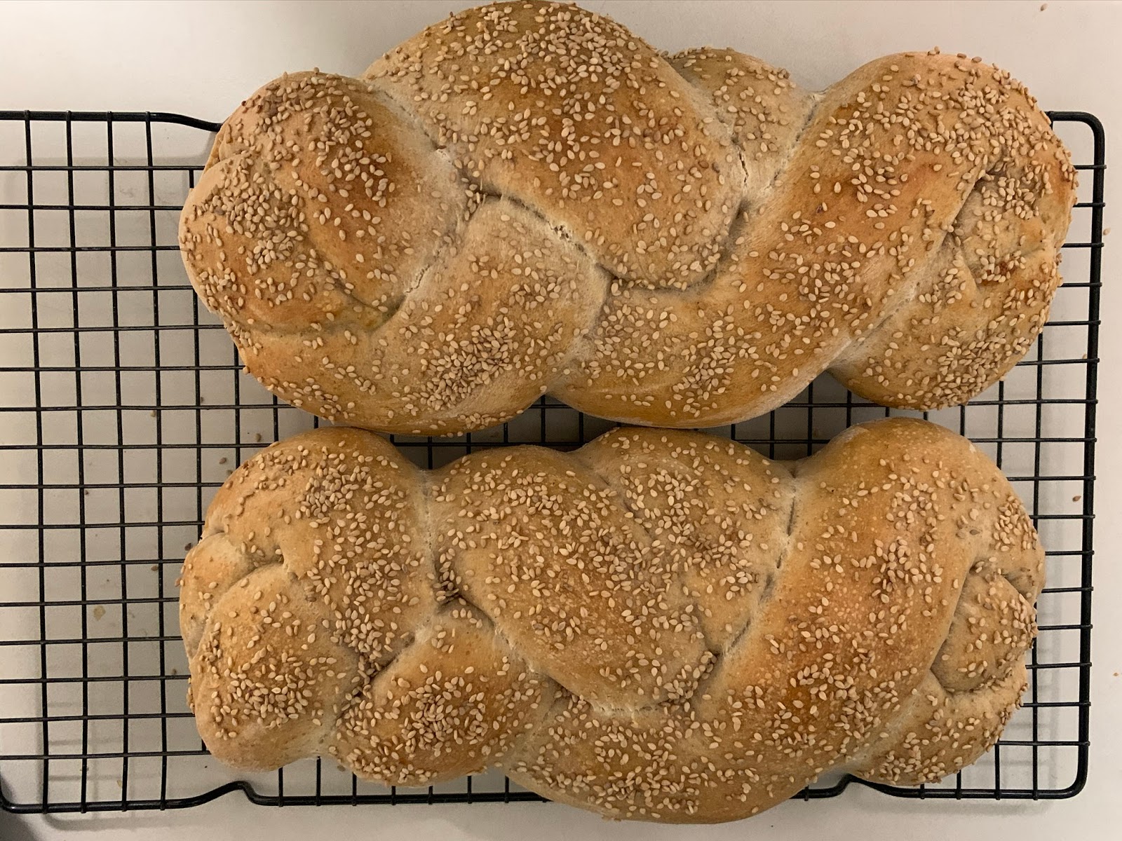 Two Italian Braid Loaves