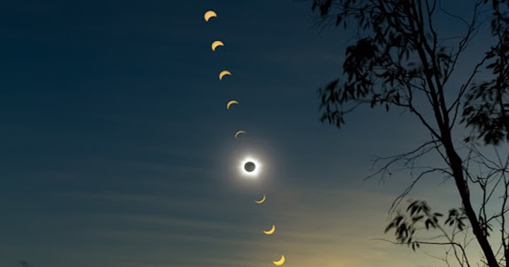 Kajian Biologi Akibat Gerhana Matahari Total - Biologizone